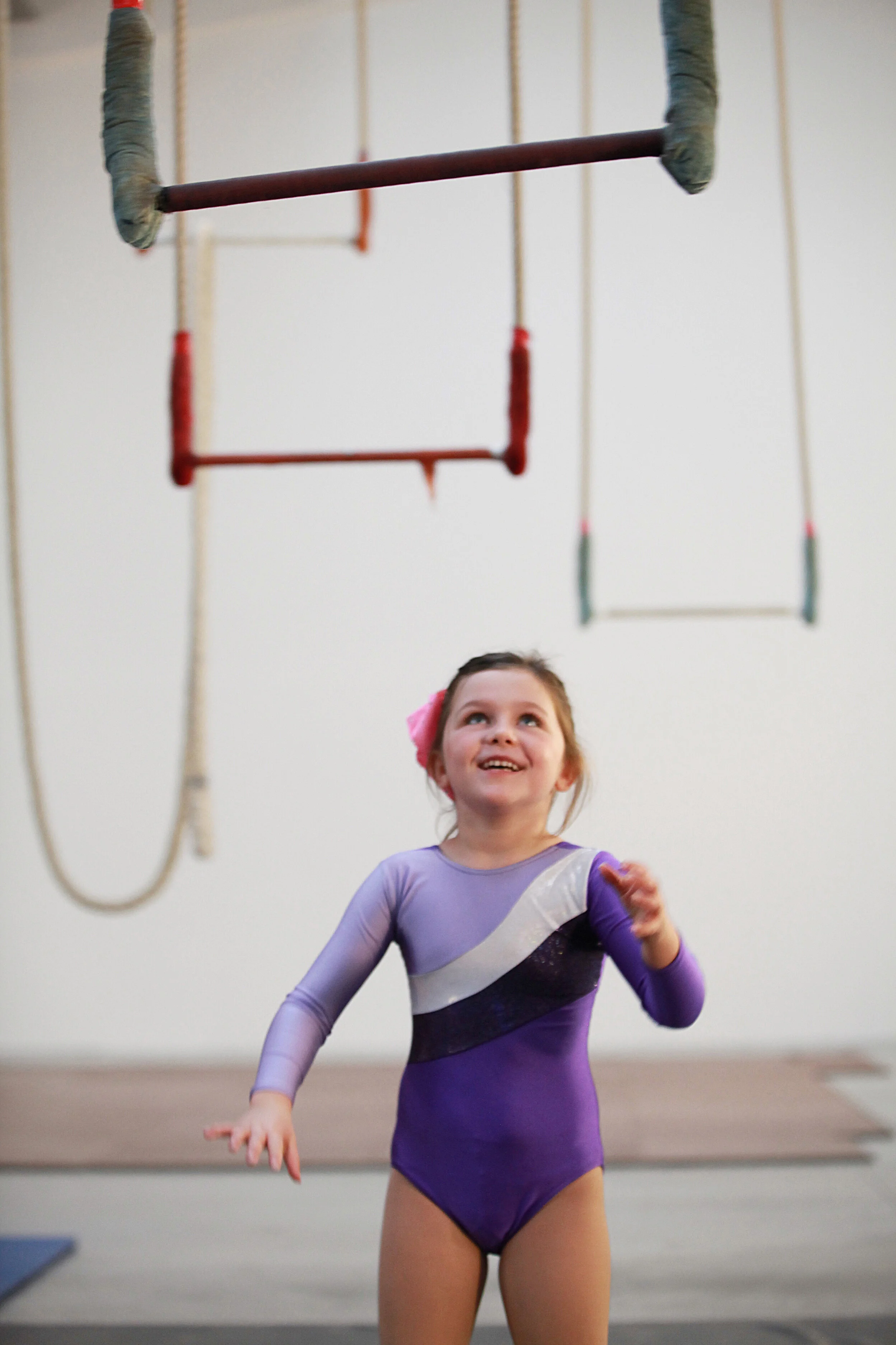 Aerial Birthdays and Experiences — My Aerial Home