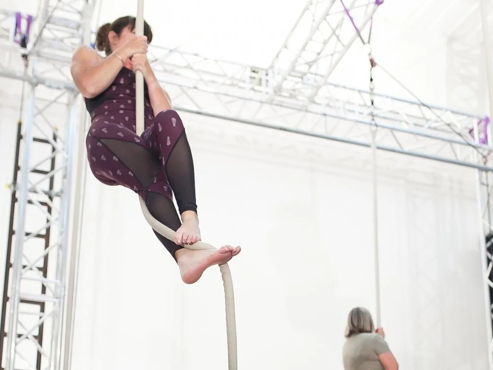 Book Your Classes — My Aerial Home