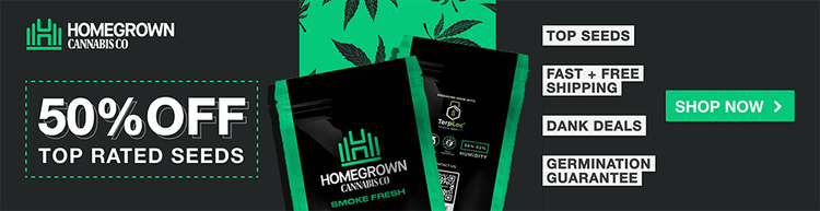 How to Germinate Weed Seeds | Simple Steps for Germination | Thunderbird Disco Homestead ...