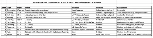 Cannabis Flowering Stage | Boost Your Yields With Simple Steps ...