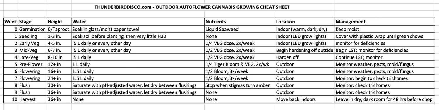 Cannabis Grow Guide (6 Weeks Vegetative) | Tips for Veg State Success ...