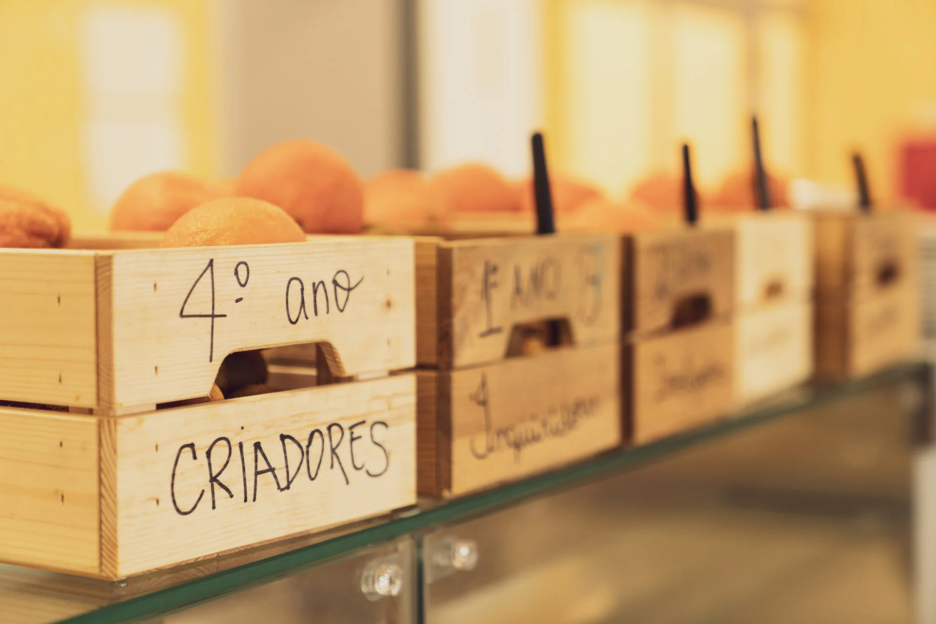 School Life — Aprendizes