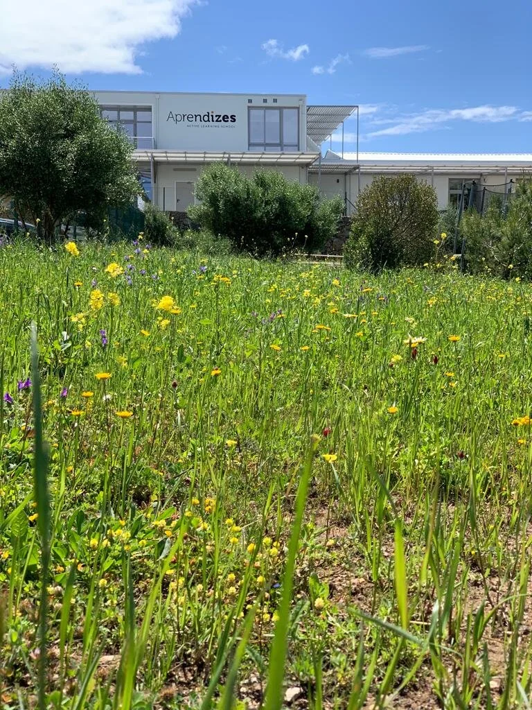 Início - PT — Aprendizes