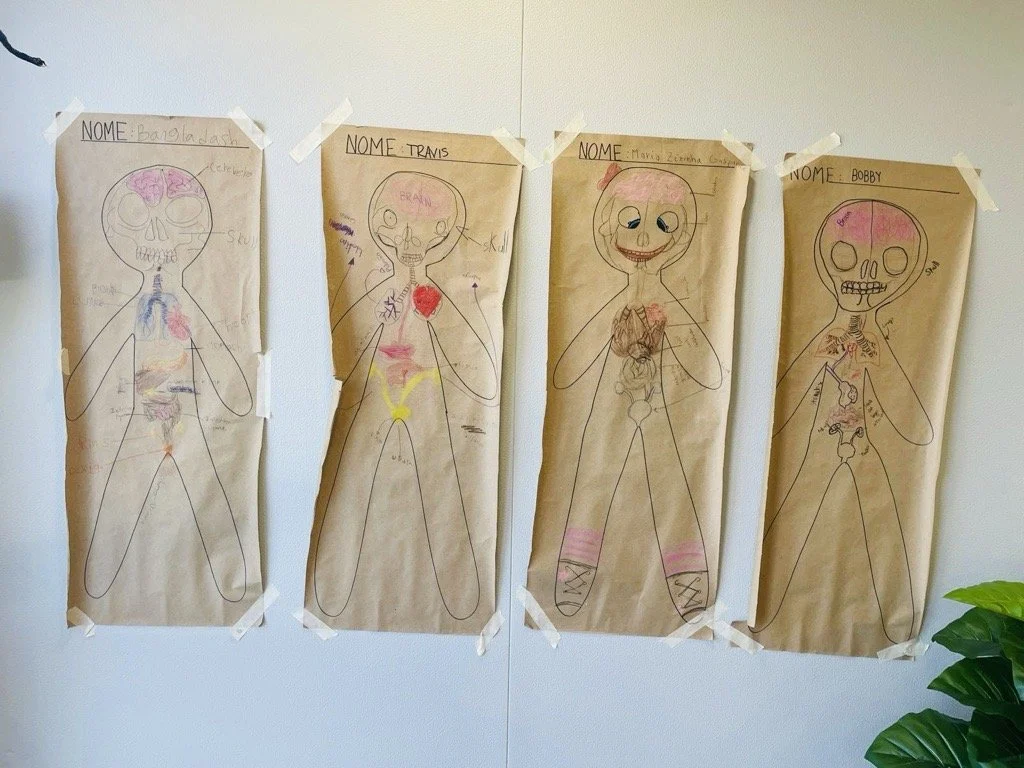 Interactive Lesson on Human Body Systems - News — Aprendizes