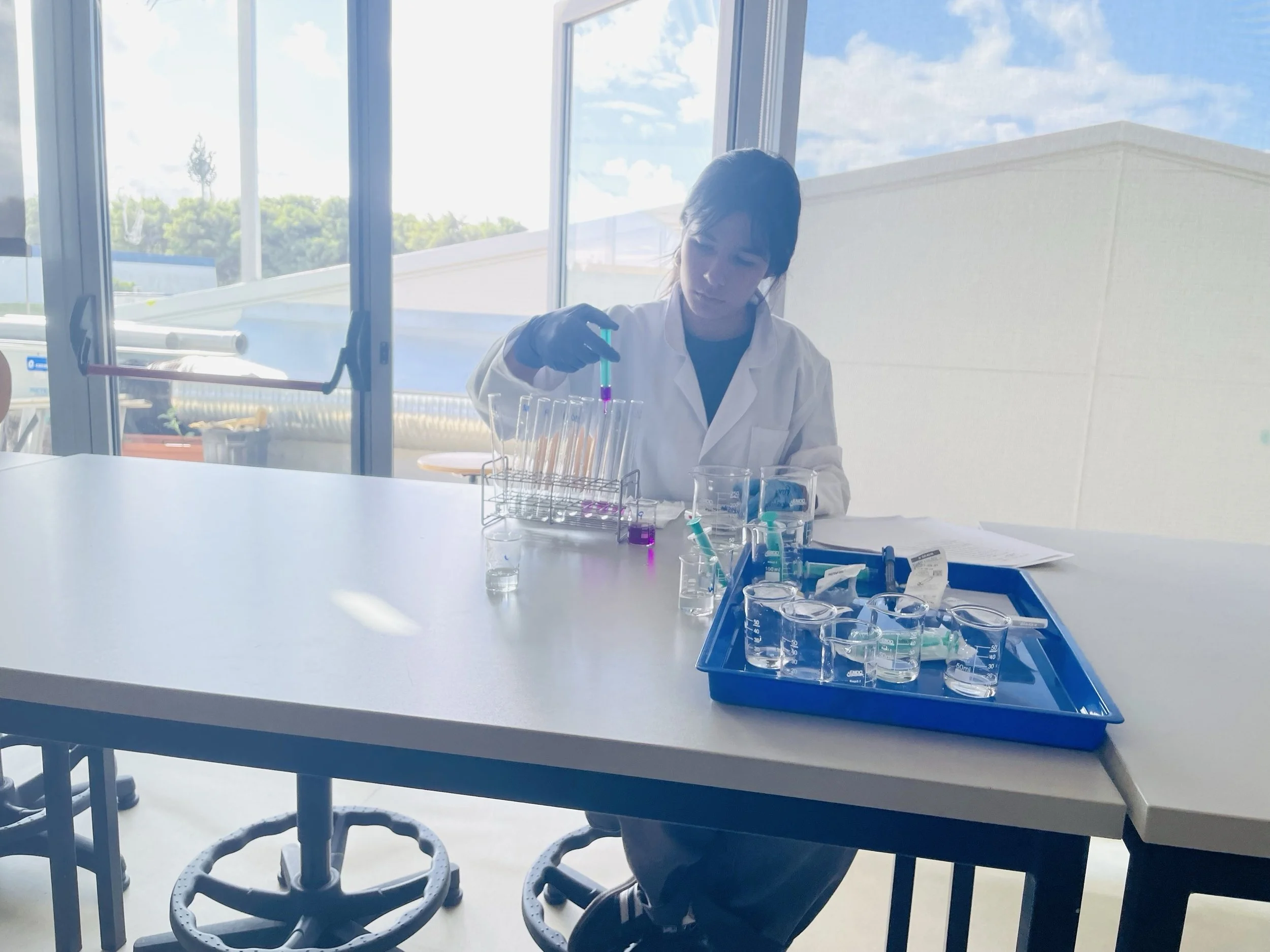 Halloween Lab Practice for A-Level Biology Students | Prática de ...