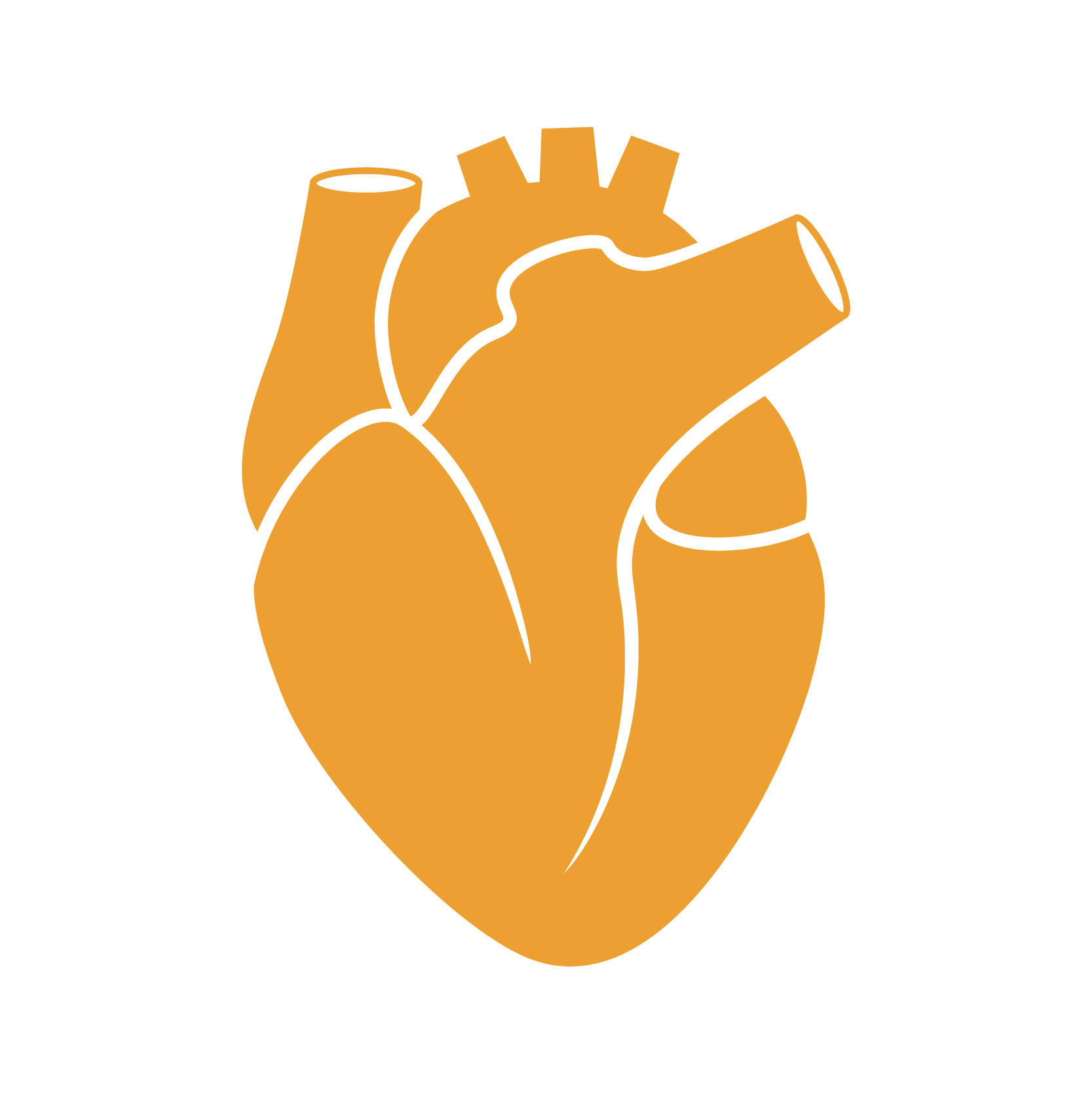 Nutrition — Azu Health