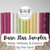 Barn Star Sampler - the digital edition — Cora's Quilts by Shelley Cavanna