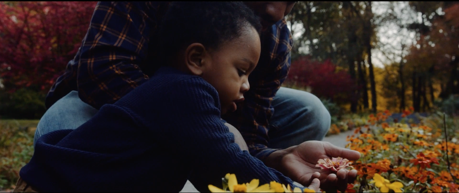 Vision — The Kalamazoo Promise