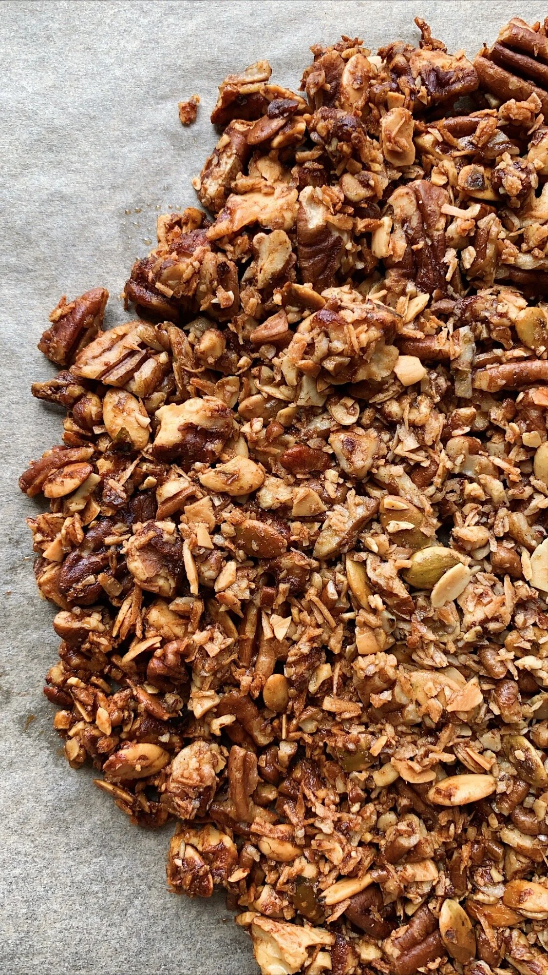 SCD & Paleo Sprouted Granola — Alyse's Gut Cooking