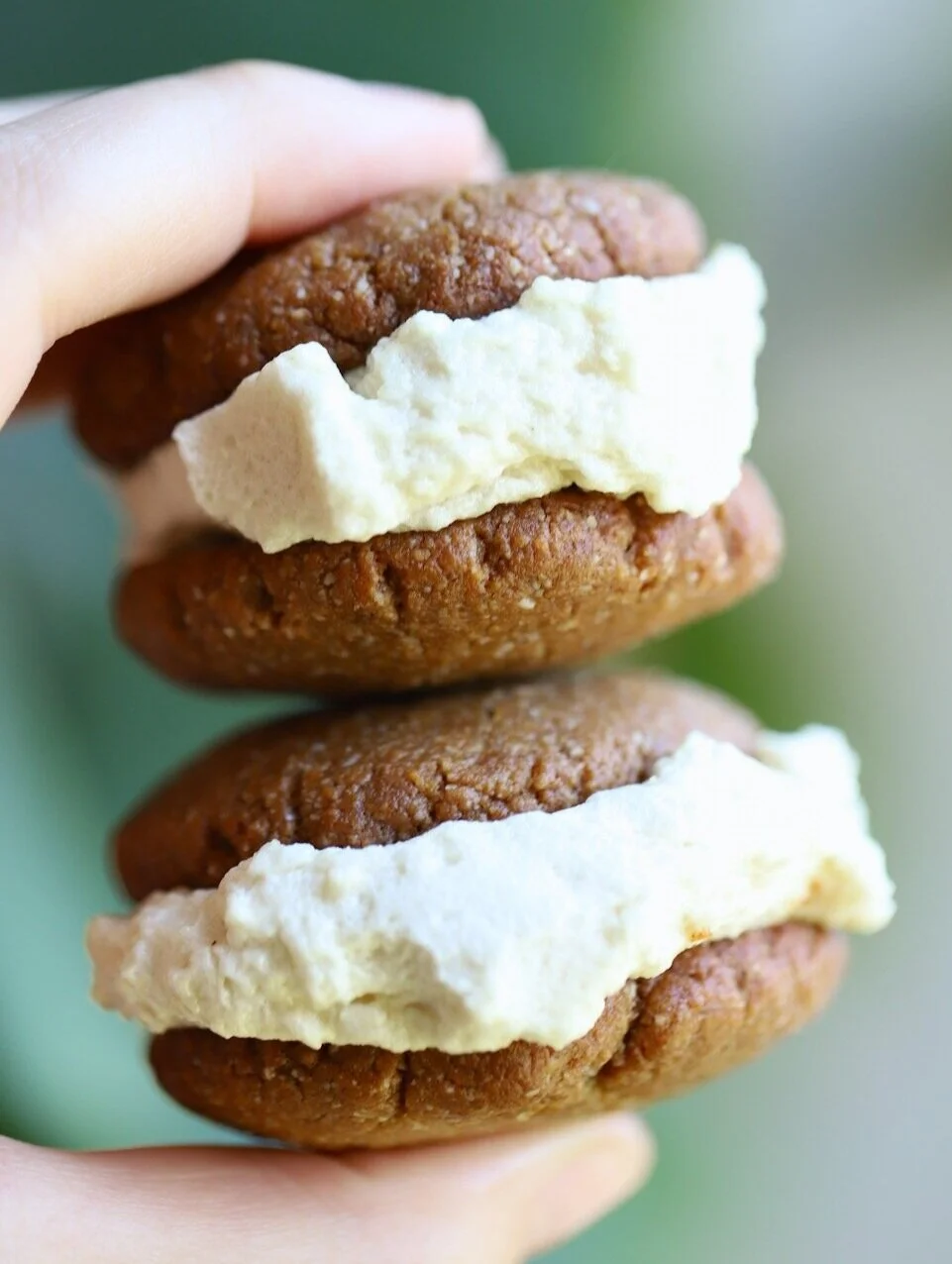 Salted Sunbutter Cookie Sandwiches — Alyse's Gut Cooking