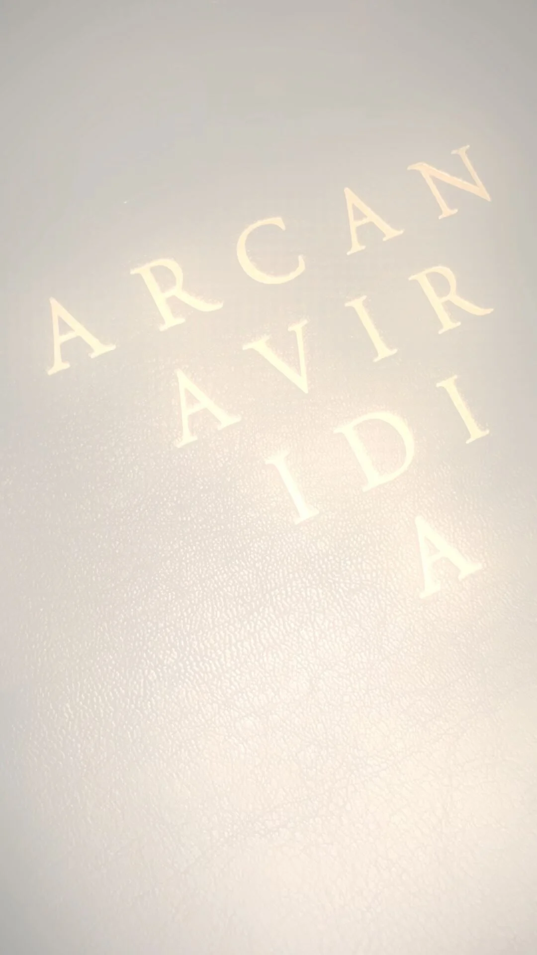 Dream Unending — Benjamin A Vierling