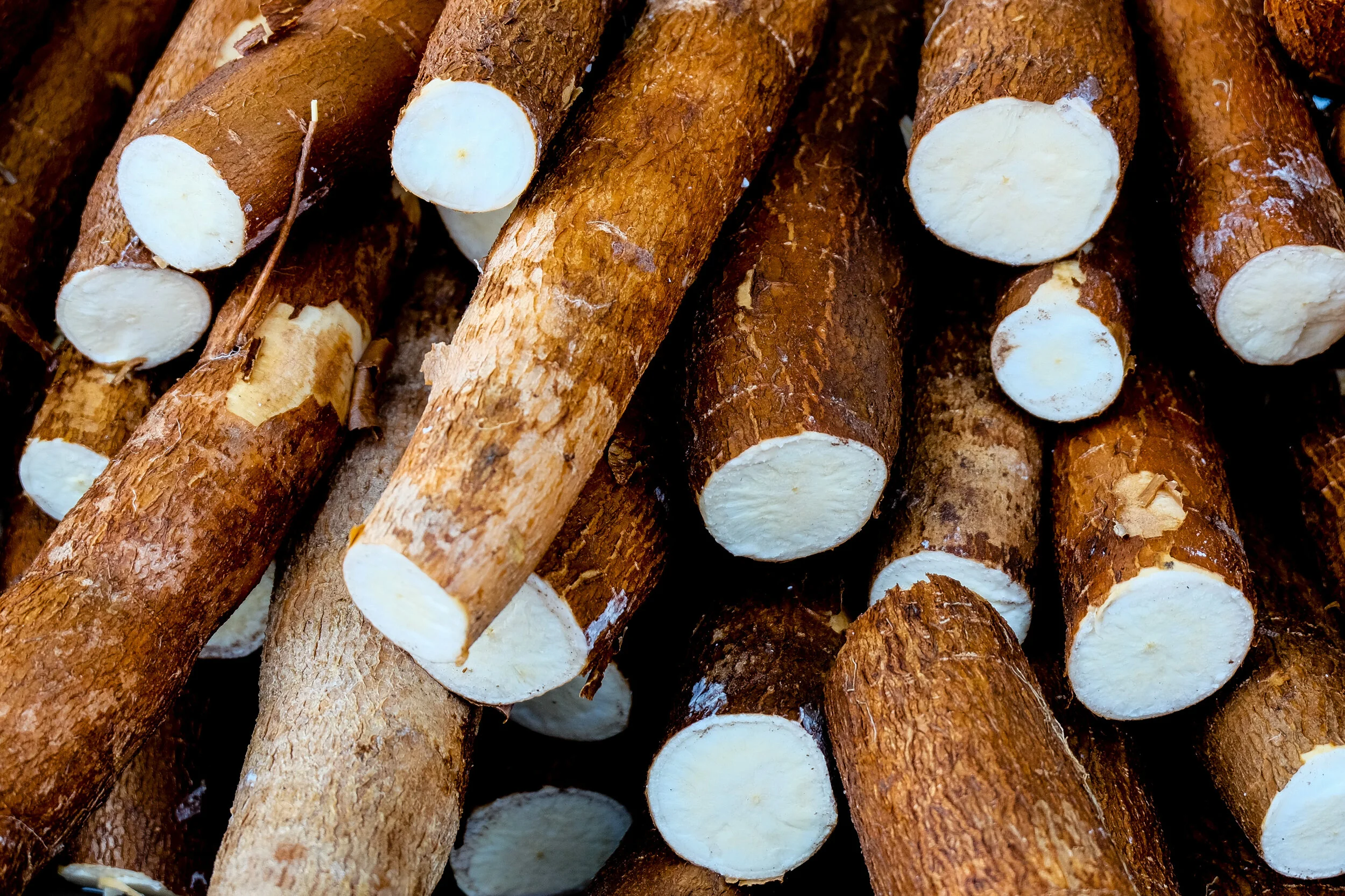Wholesale Organic Yuca, Fresh and Frozen Vegetables