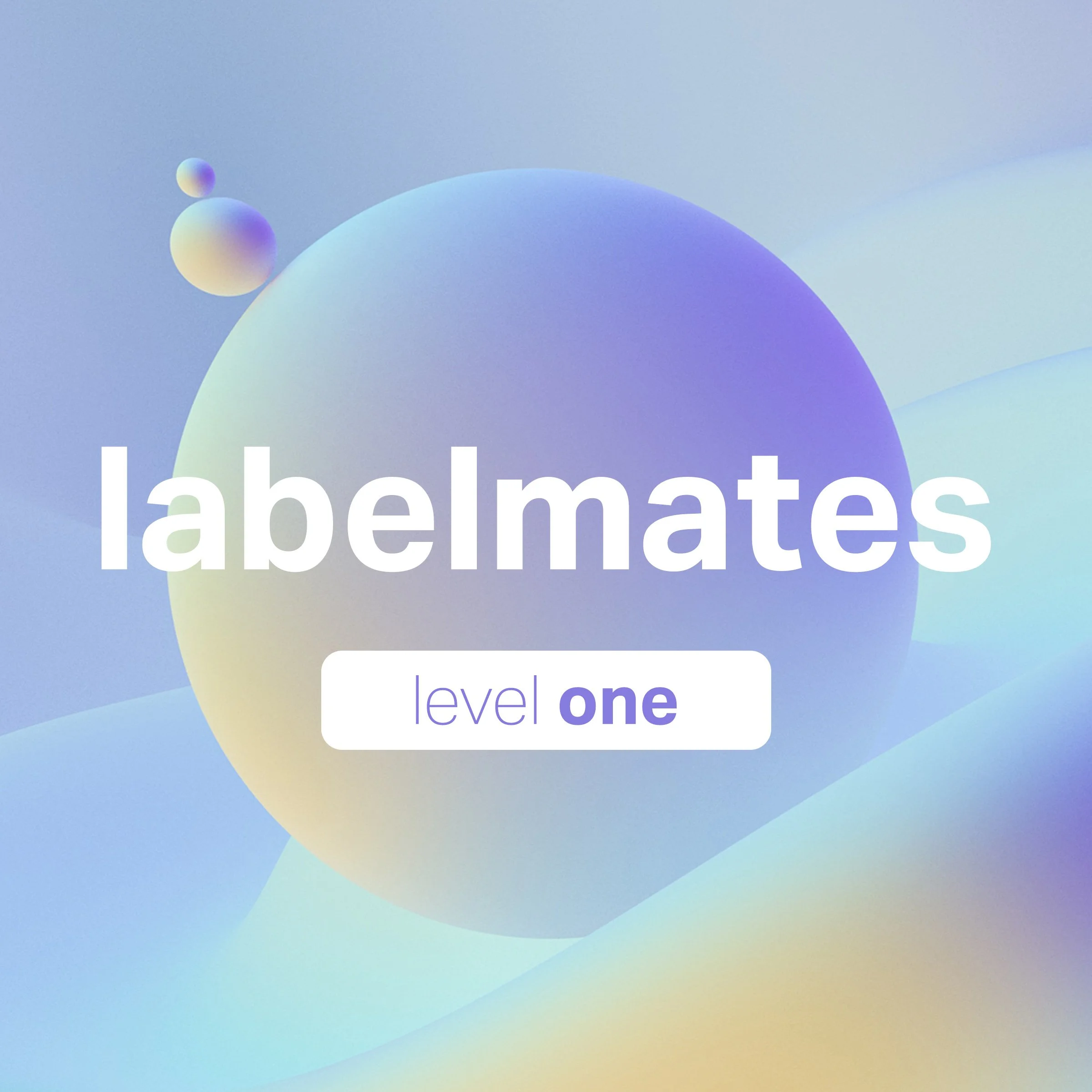 Labelmates - 6-Week Intensive for Ambitious Record Labels