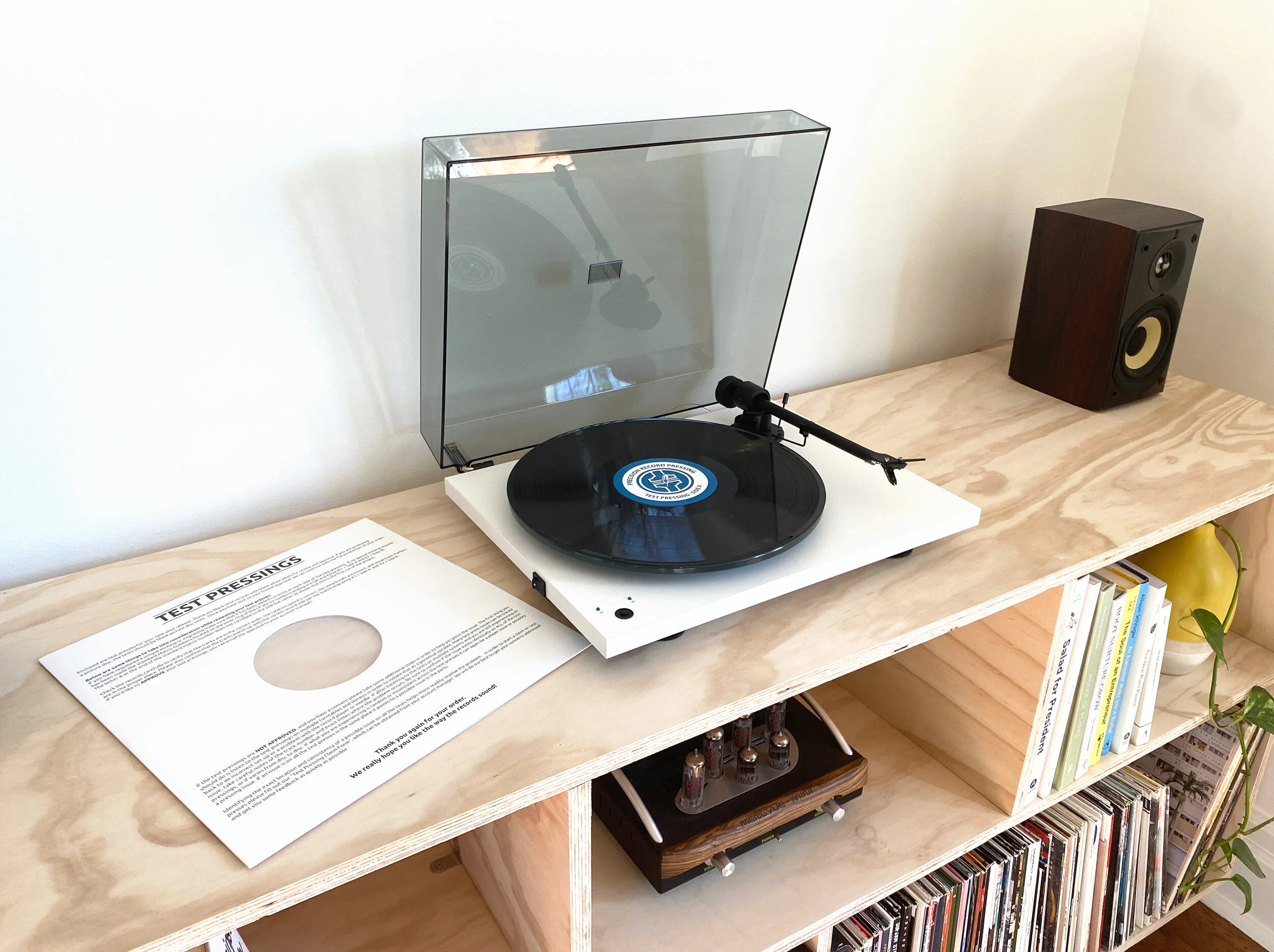 Releasing Your Music on Vinyl [The Ultimate 2025 Guide]