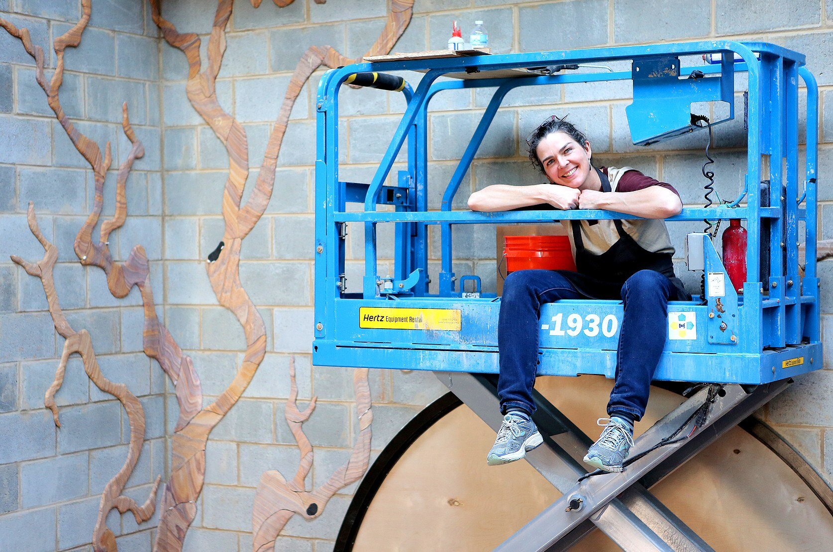 Ancient Vines — Debbie Dickinson