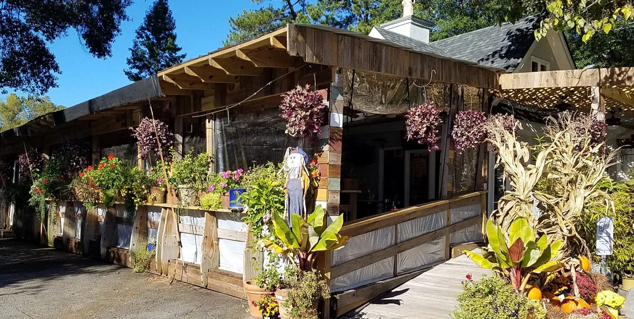 Treehouse Restaurant & Pub | Experience Excellent Food & Drinks — Visit ...