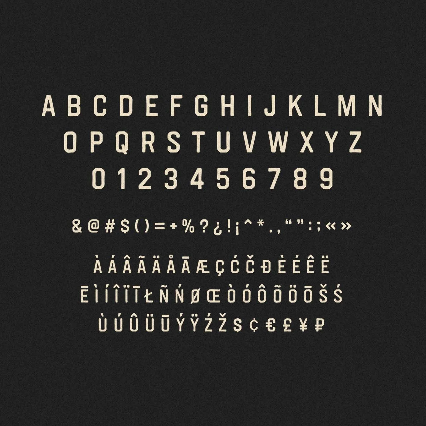 Tin Can | Heritage Typeface — Daniel Neuman