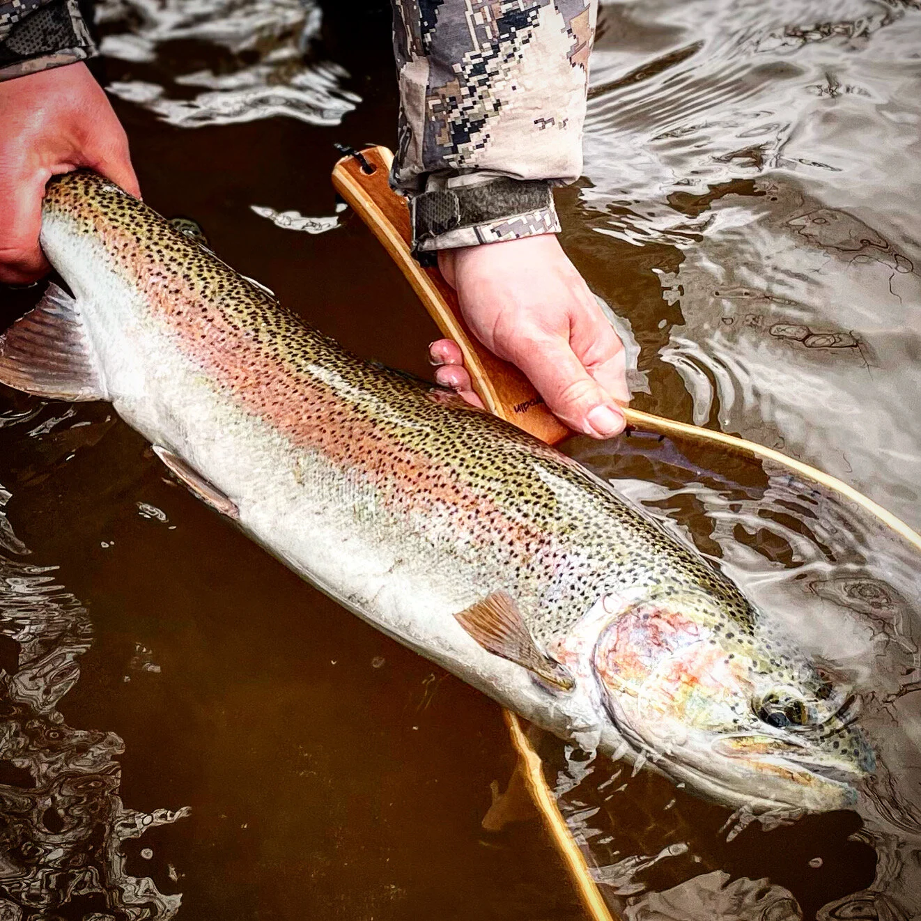 Brule River Fly Fishing Guide — Larry the Lunker