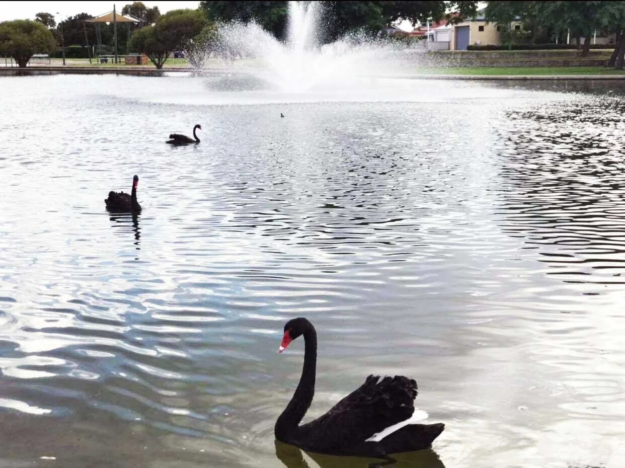 Information — Treendale Medical Centre