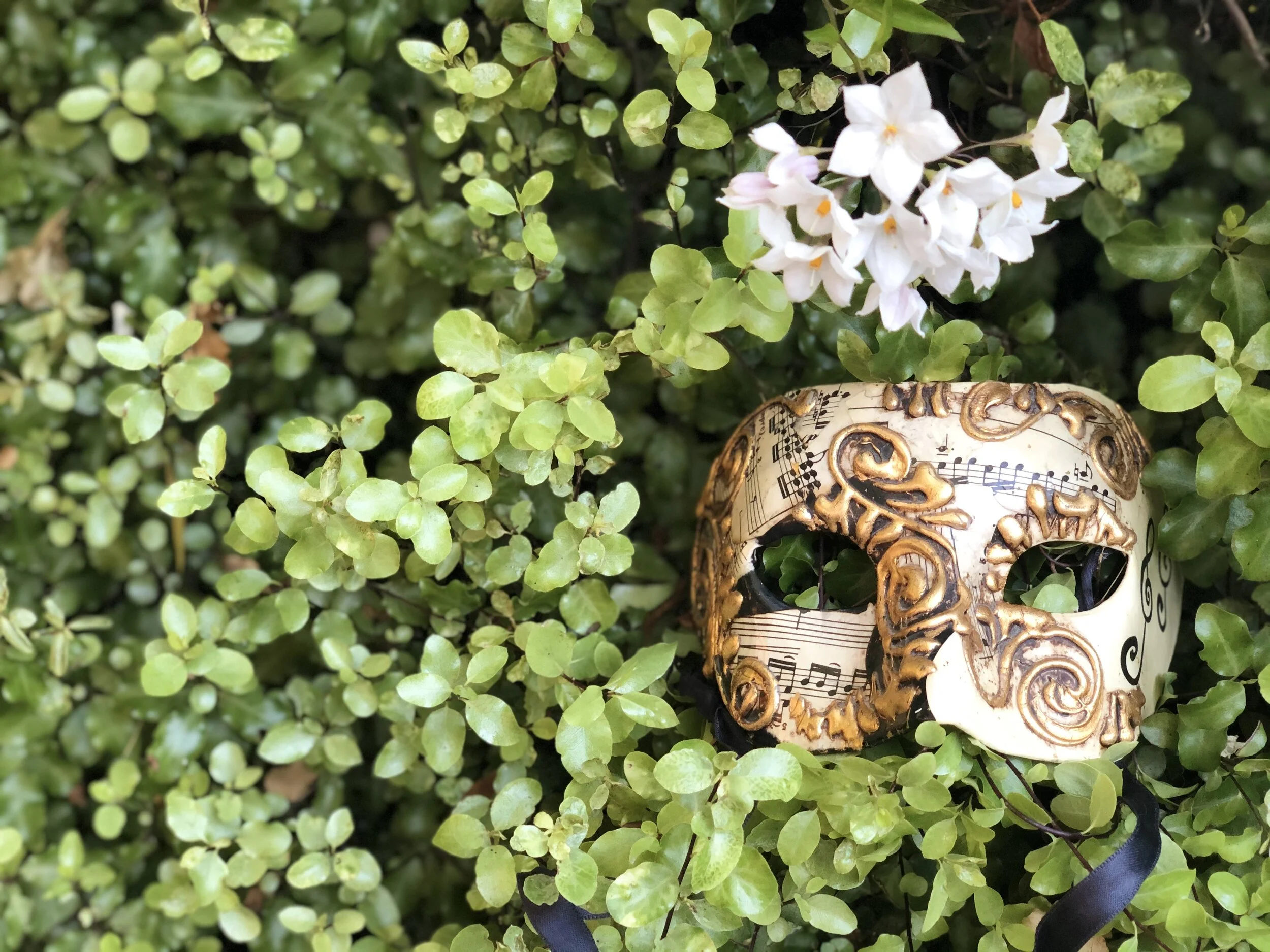 News — Toi Toi Opera