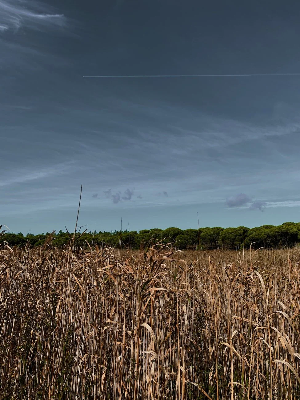 MISSING PERSONS - SASKATCHEWAN — CANADA UNSOLVED