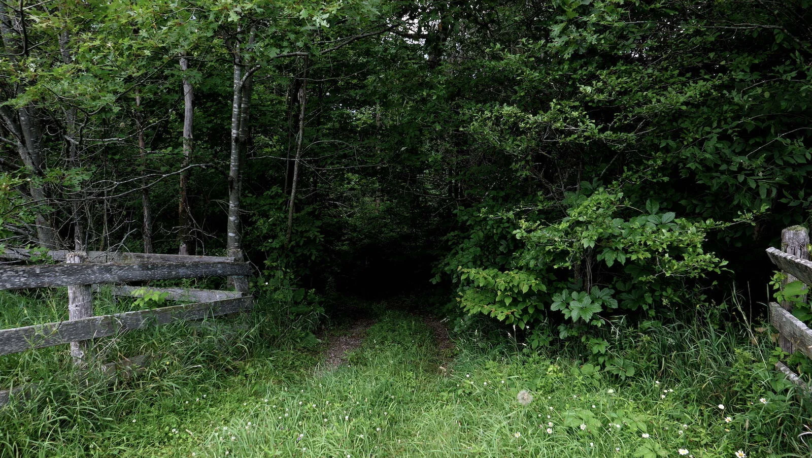 Canada Unsolved Investigates: What happened to Eric Larsfolk & John ...