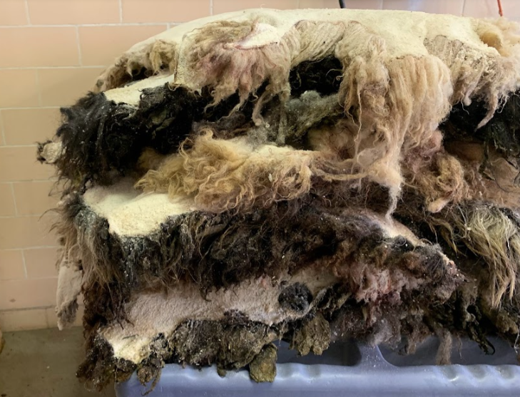 Driftless Tannery Services