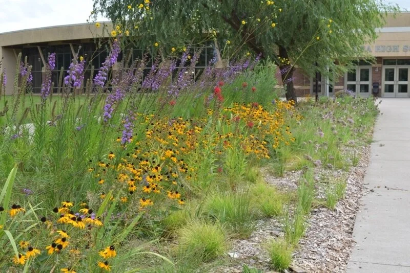 Native Landscaping Projects — Blazing Star Gardens