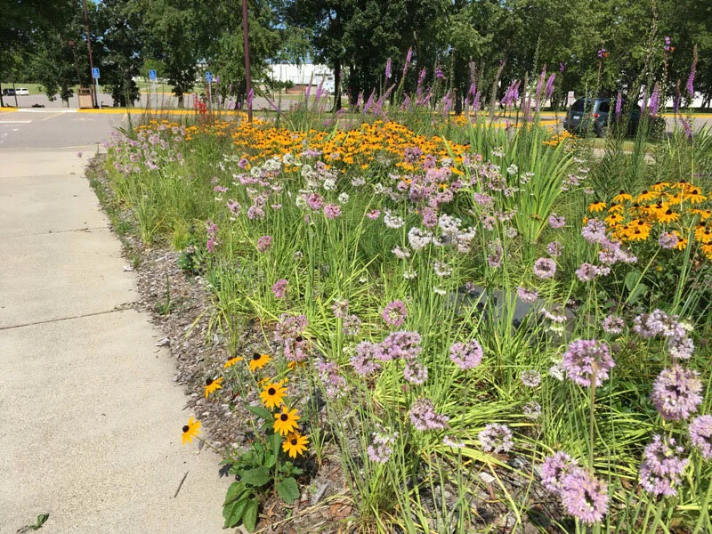 Blazing Star Gardens