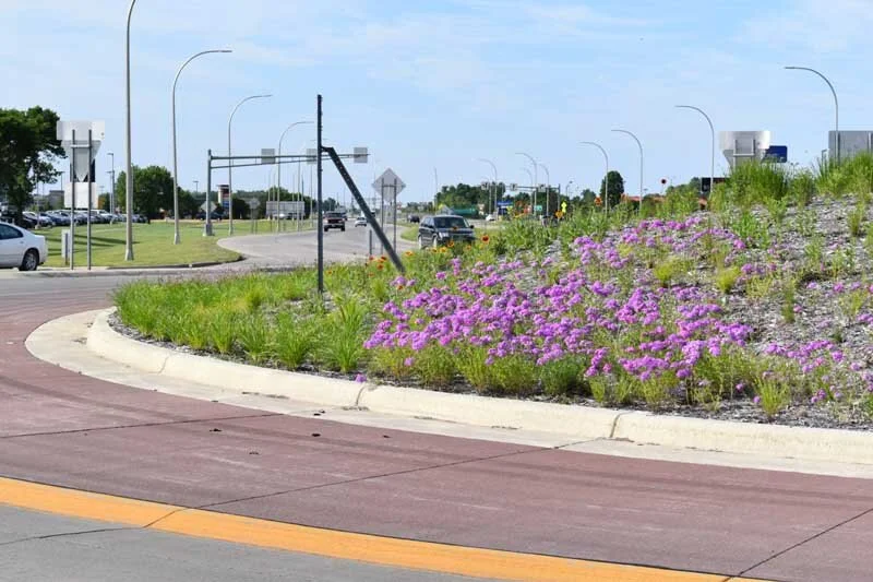 Rain Garden Kit - Sun - 72 plants — Blazing Star Gardens