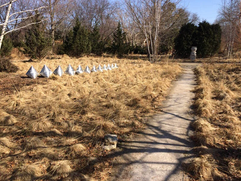 Prairie Dropseed (Sporobolus heterolepis) 3-pack of pots — Blazing Star ...