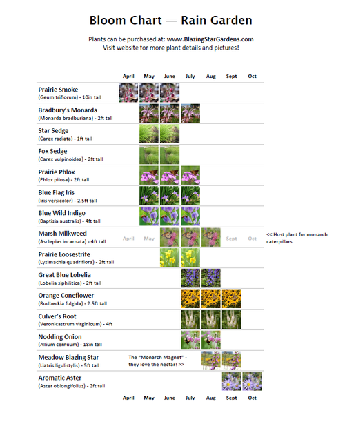 Free Rain Garden Design | Create Eco-Friendly Rain Gardens Today ...