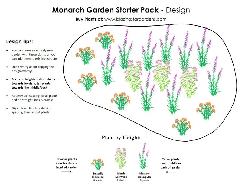 Rain Garden Kit - Sun - 72 plants — Blazing Star Gardens