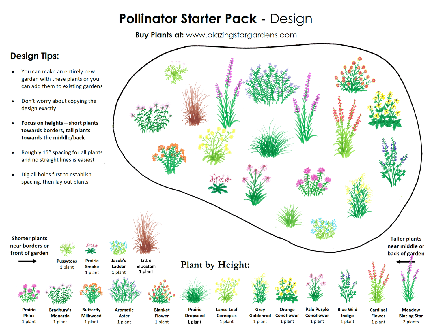 Rain Garden Kit - Sun - 72 plants — Blazing Star Gardens