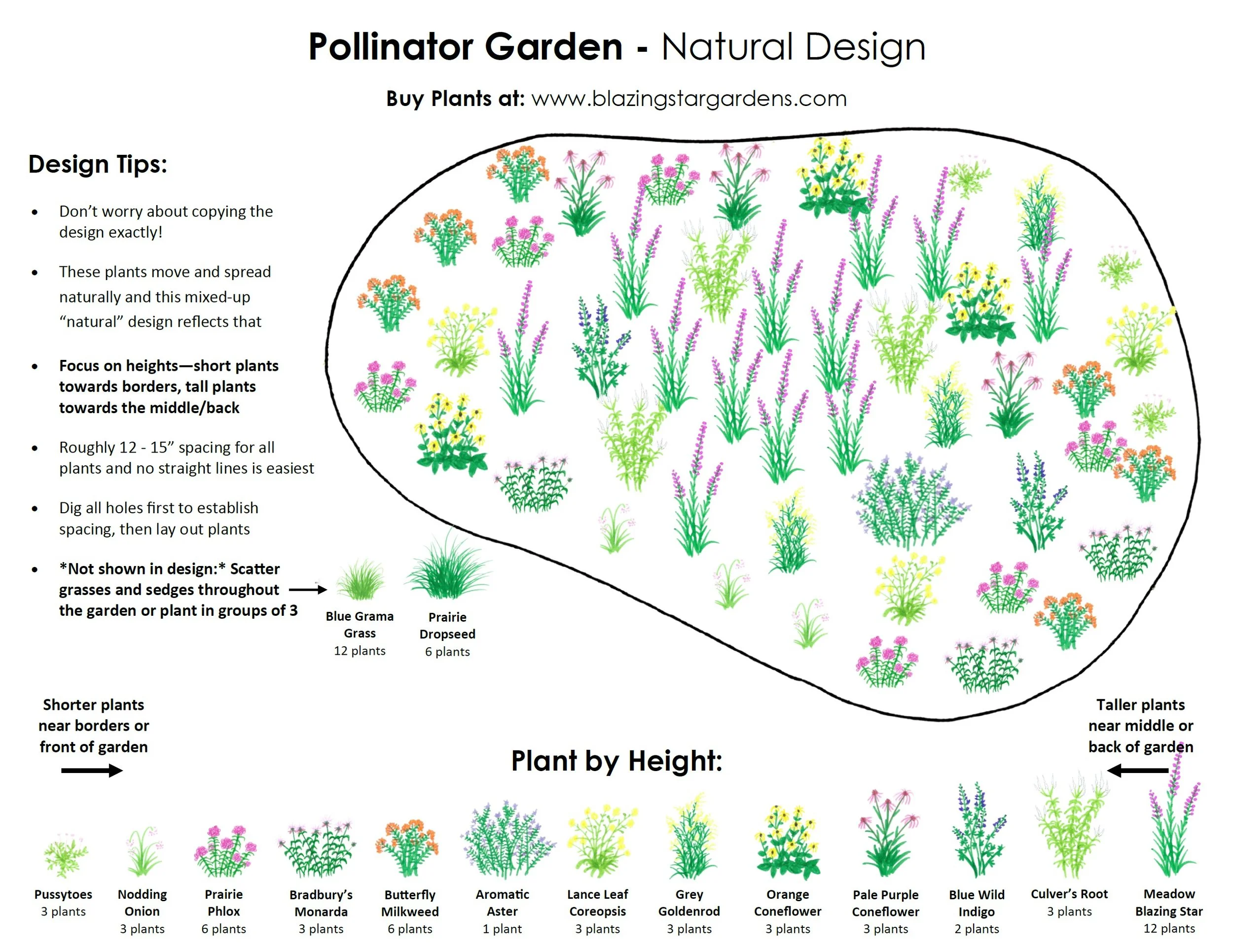 Tall and Sunny Pollinator Garden Kit - 72 plants — Blazing Star Gardens