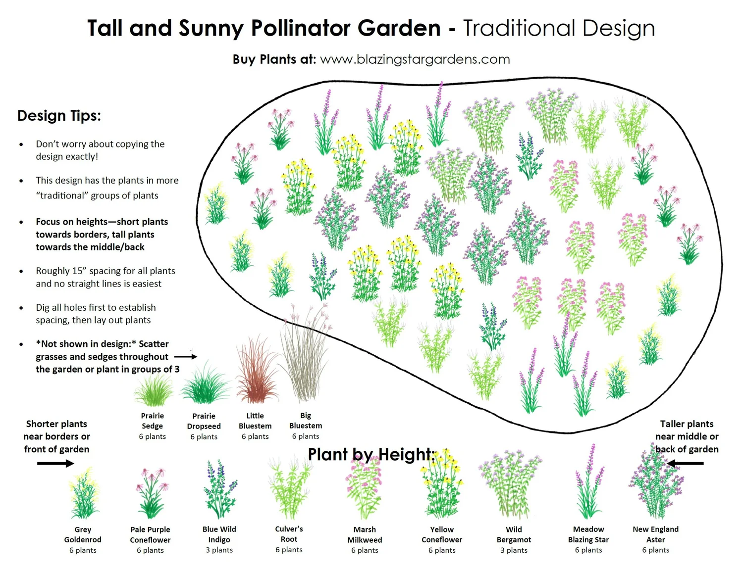Tall and Shady Pollinator Garden Kit - 72 plants — Blazing Star Gardens