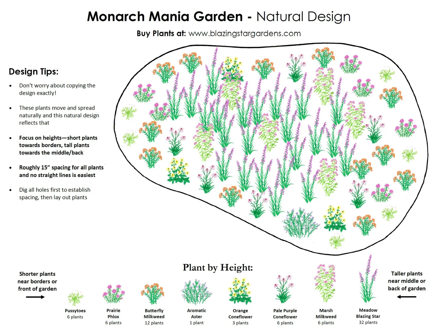 Rain Garden Kit - Sun - 72 plants — Blazing Star Gardens