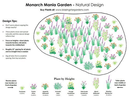 Rain Garden Kit - Sun - 72 plants — Blazing Star Gardens