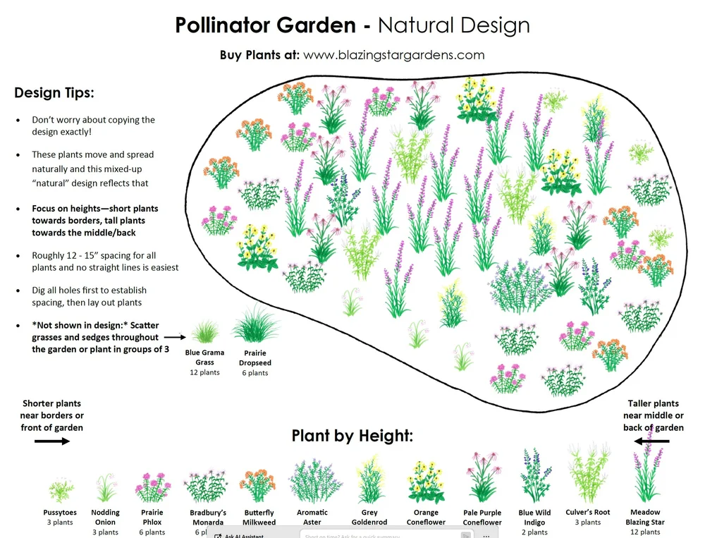 Rain Garden Kit - Sun - 72 plants — Blazing Star Gardens