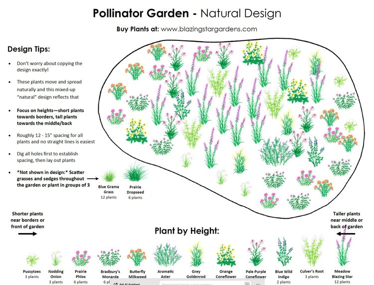 Rain Garden Kit - Sun - 72 plants — Blazing Star Gardens