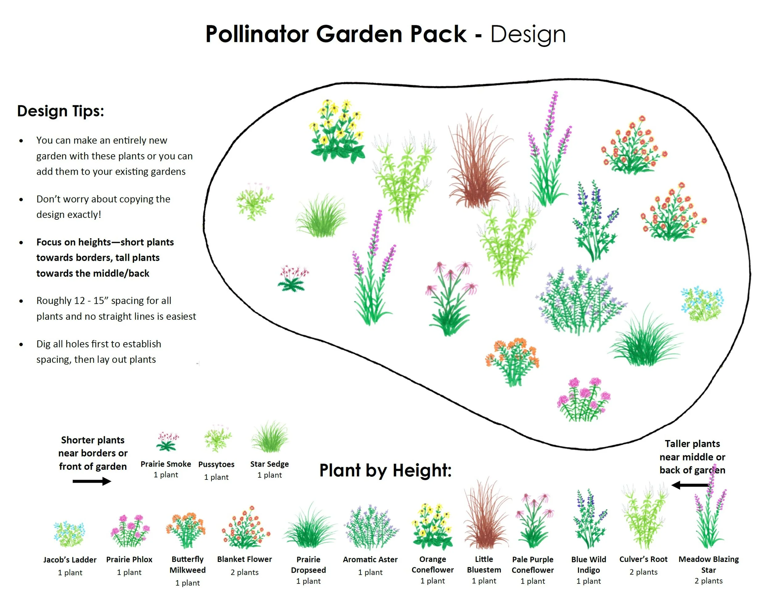 Rain Garden Kit - Sun - 72 plants — Blazing Star Gardens