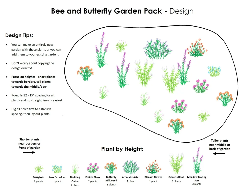 Rain Garden Kit - Sun - 72 plants — Blazing Star Gardens
