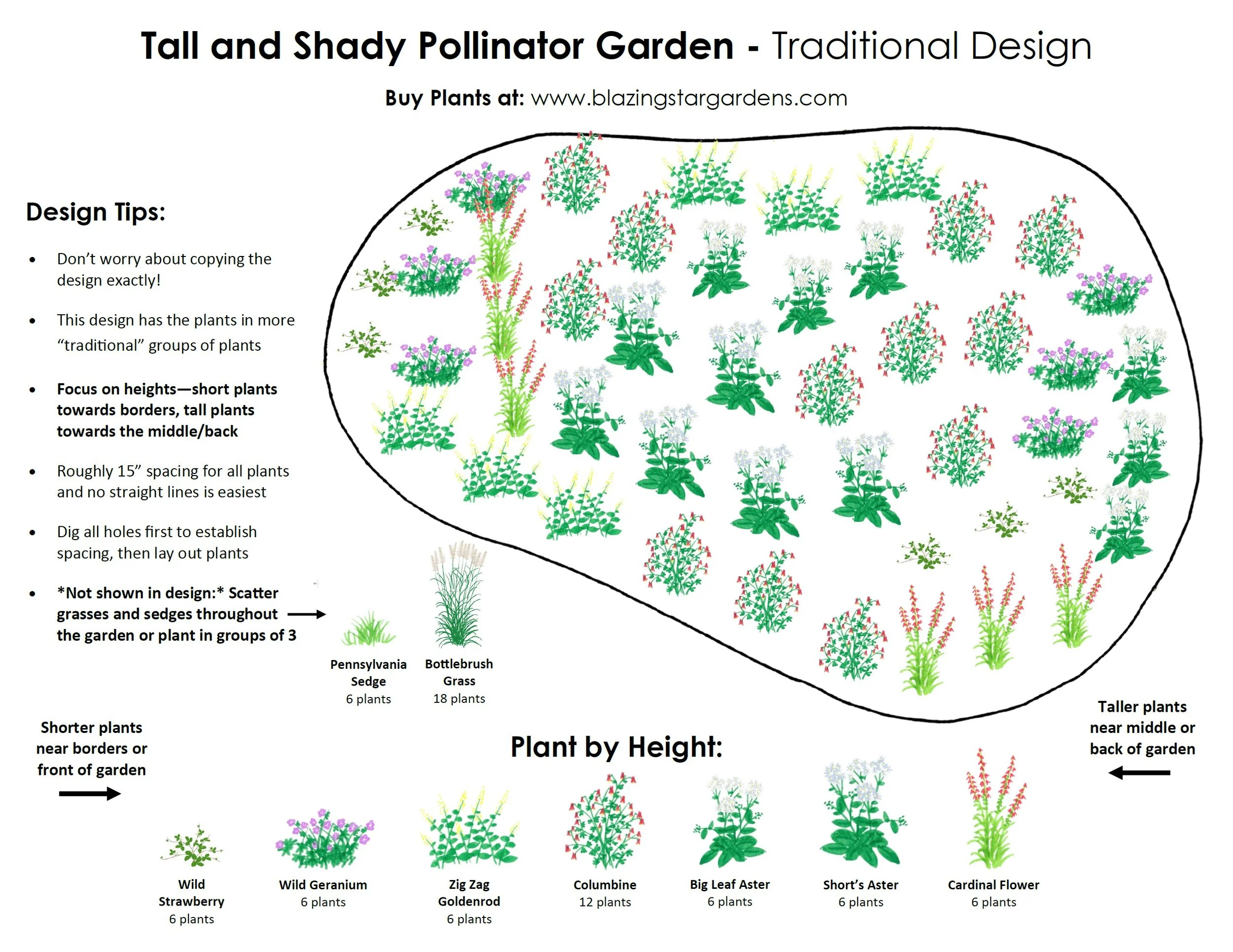 Rain Garden Kit - Sun - 72 plants — Blazing Star Gardens