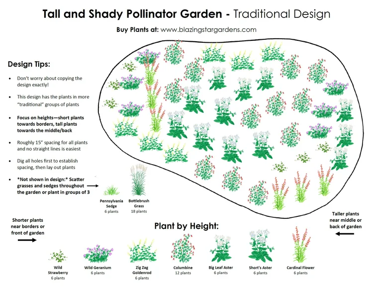 Rain Garden Kit - Sun - 72 plants — Blazing Star Gardens