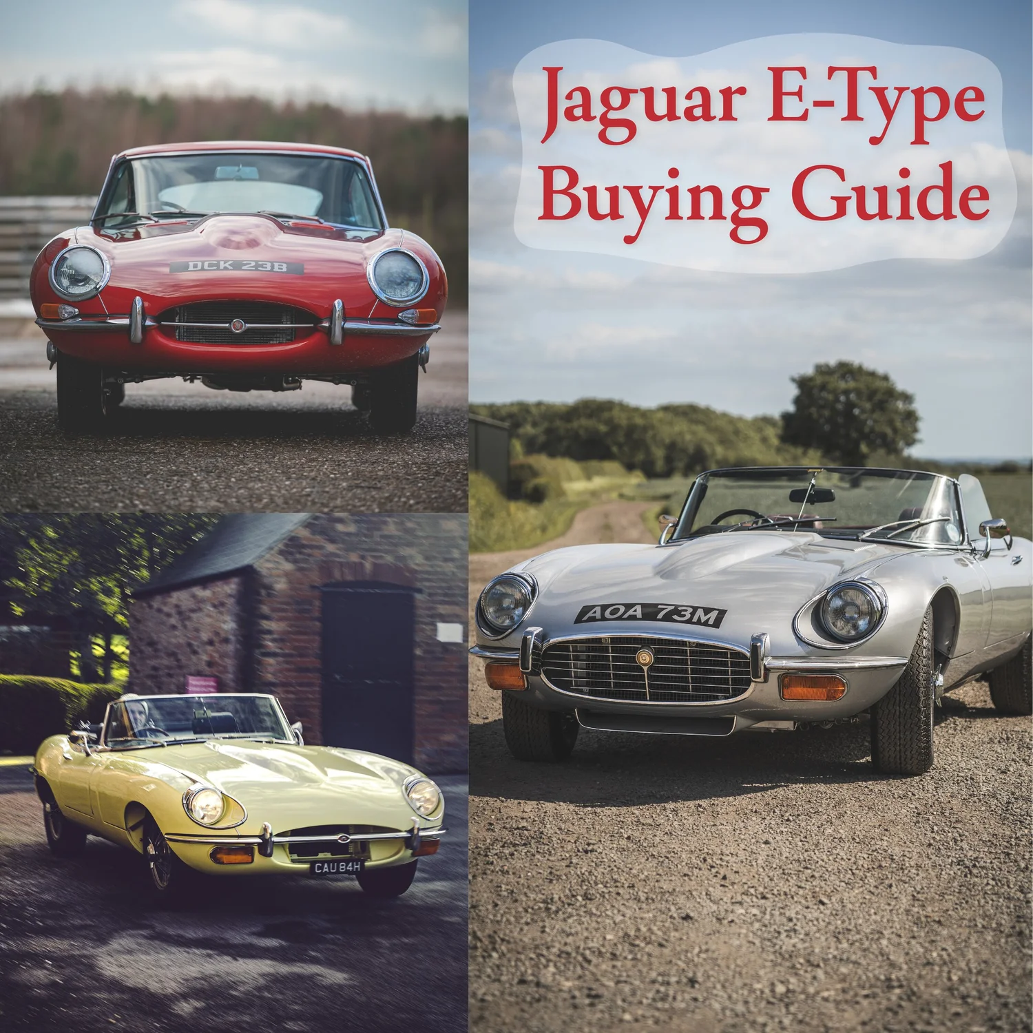 Jaguar E-Type Buying Guide — P&K Thornton Restorations