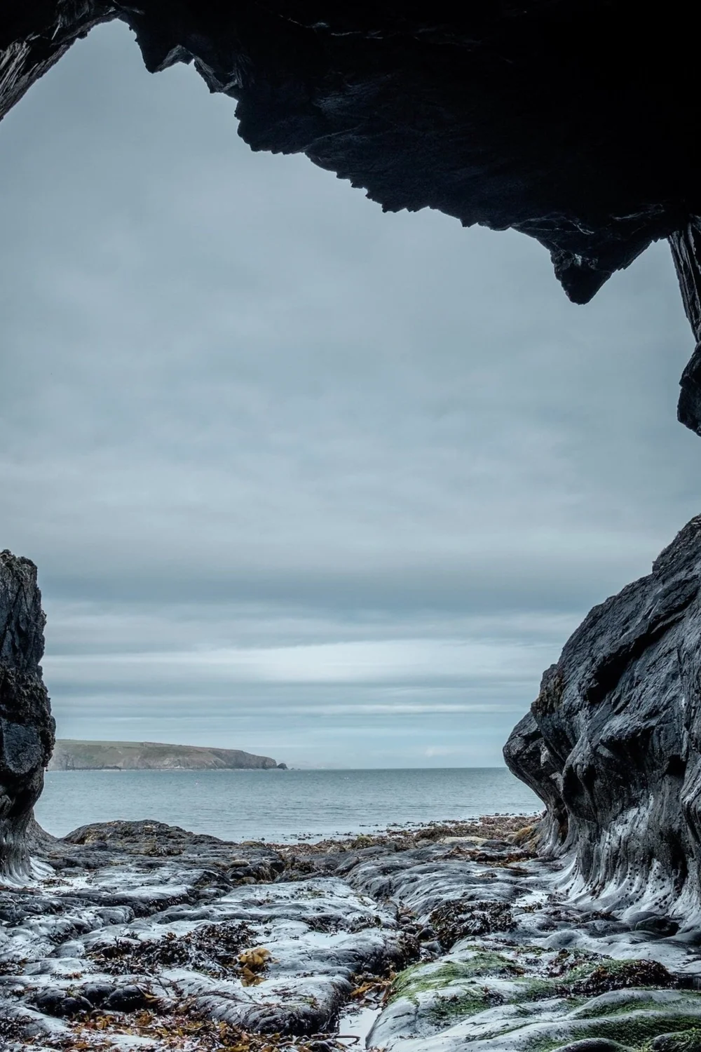 Pre-Emergence Lore — Alliance NEPA