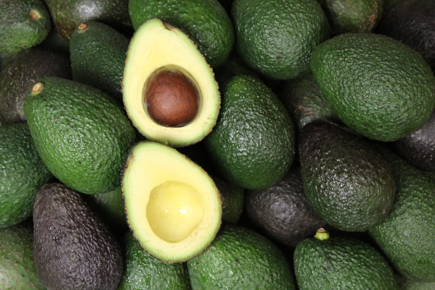 Brokaw Ranch Company | Shop fruit and avocado boxes online, responsibly ...