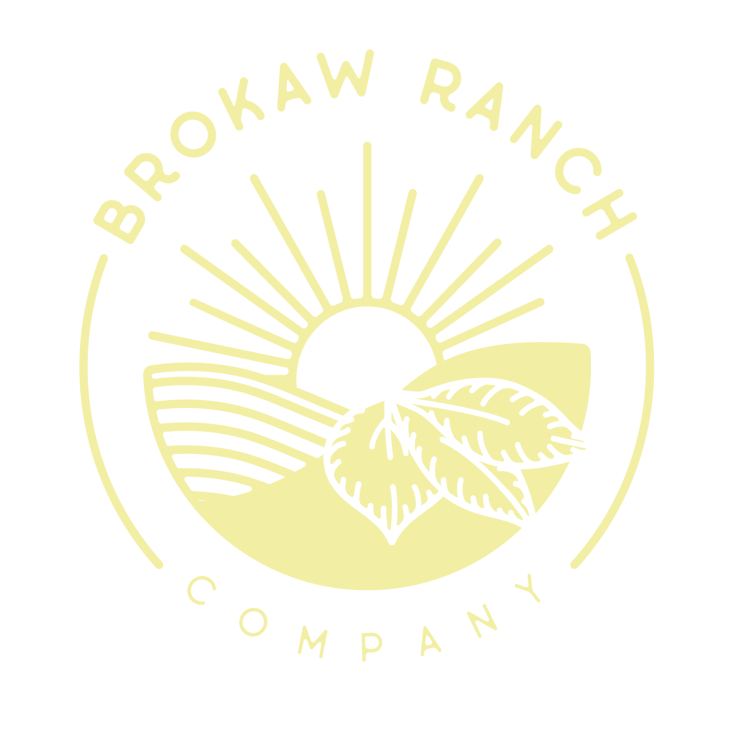 Brokaw Ranch Company | Shop fruit and avocado boxes online, responsibly ...
