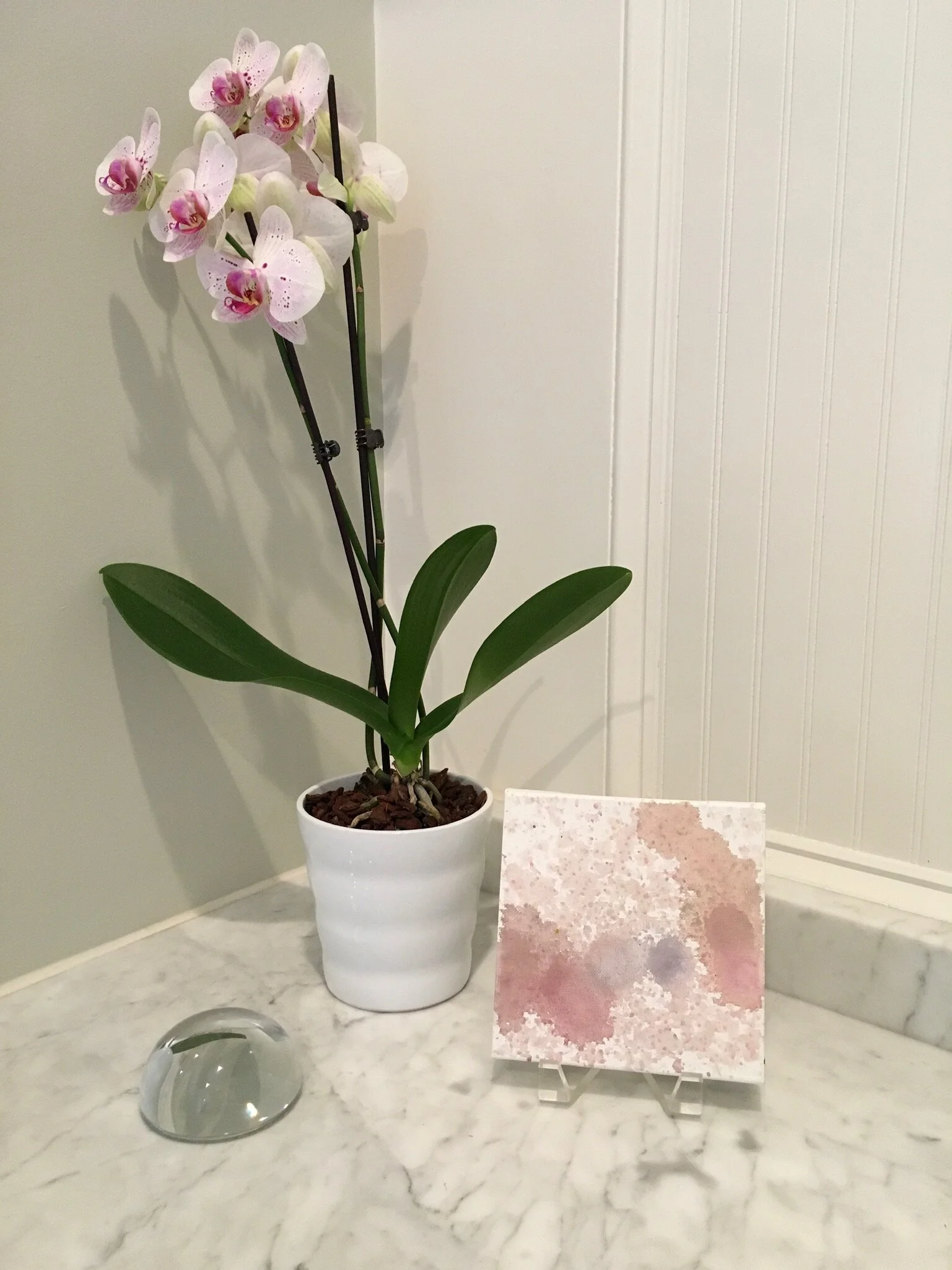 Devin Hannan Art Studio