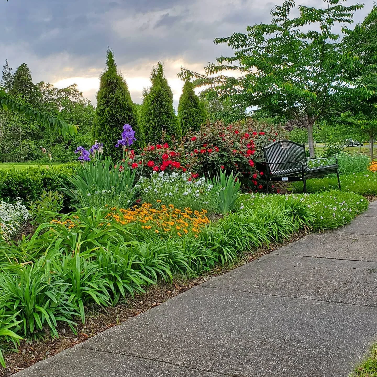 Gallery 3 — St. George Landscape Design